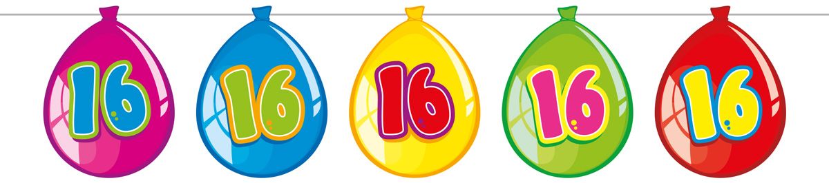 16 Jaar | Party Max De Feestwinkel